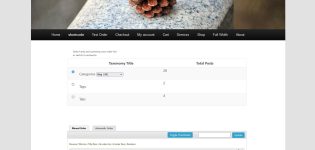 Nsp Code - Premium WordPress Development